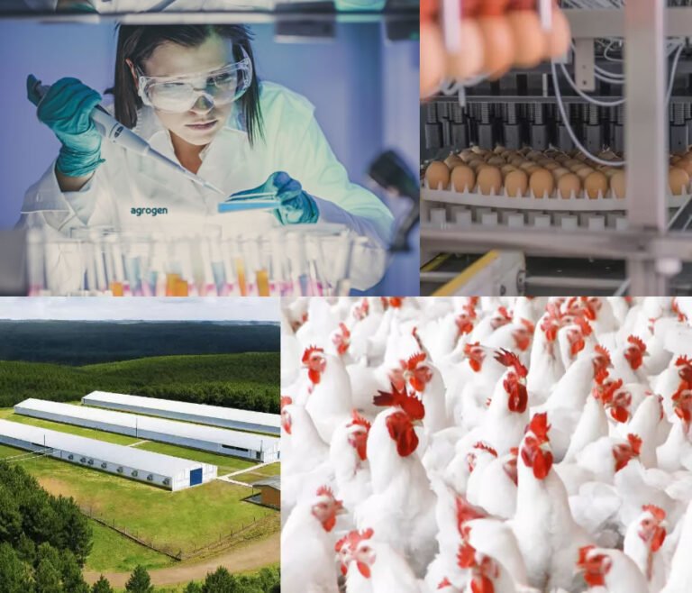 Saiba mais sobre as empresas do Grupo Flamarpar